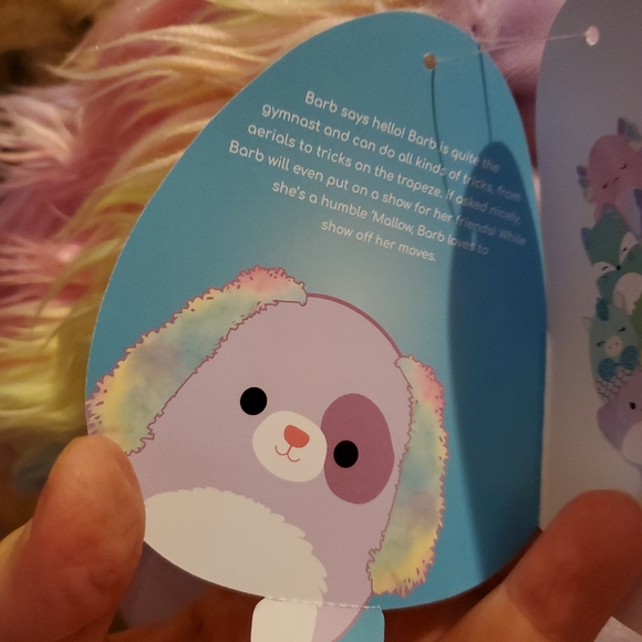 Squishmallows | Toys | Squishmallows Barb The Dog 6 Puppy Floppy ...